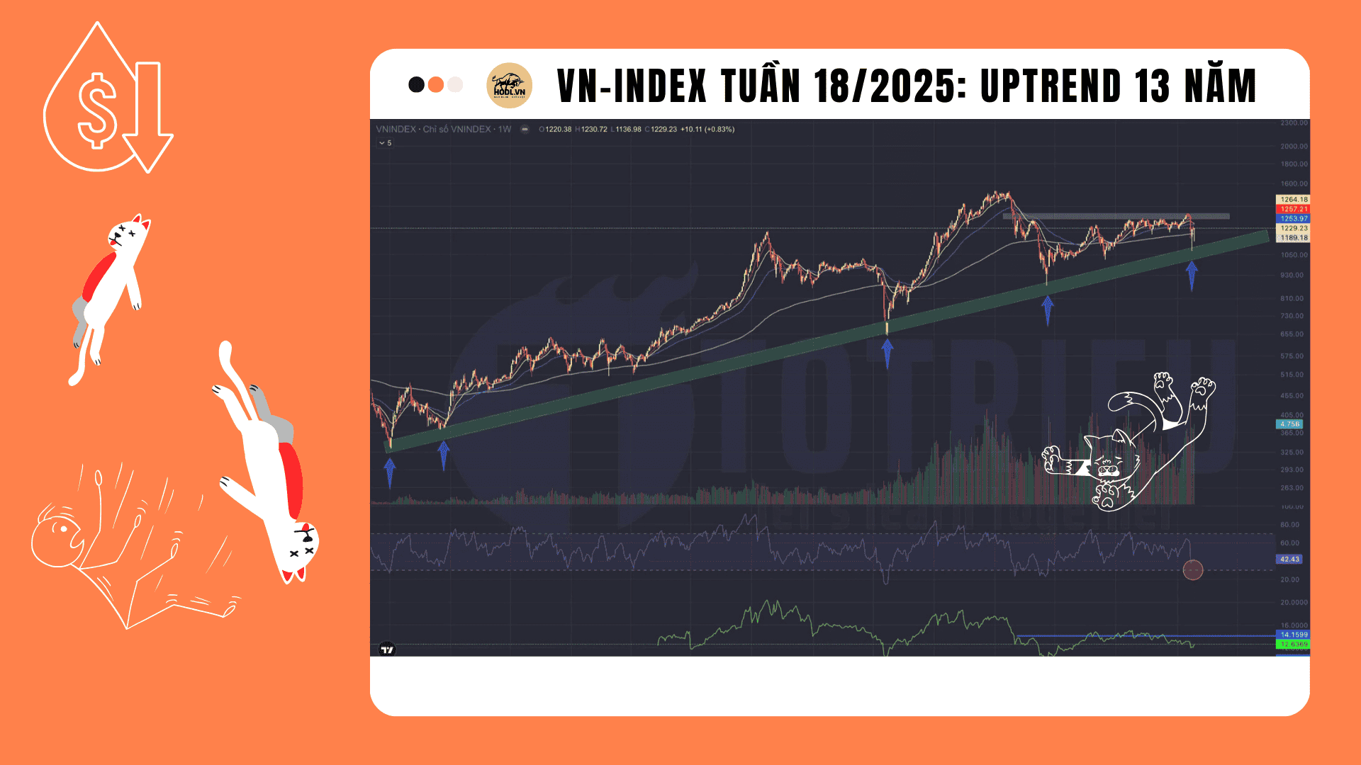 VN-INDEX tuần 18/2025: Đường xu hướng tăng 13 năm là bệ đỡ!? » HODL.VN